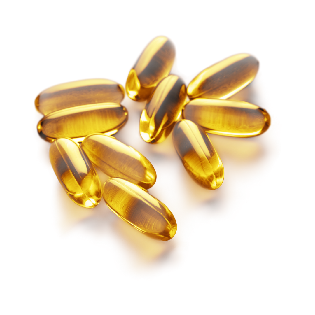 The Importance of Omega-3s and Salmon Oil Supplements – Dogswell