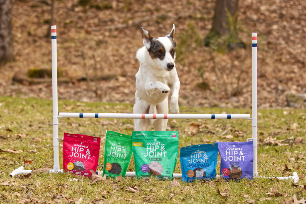How to Find the Perfect Functional Treat – Dogswell